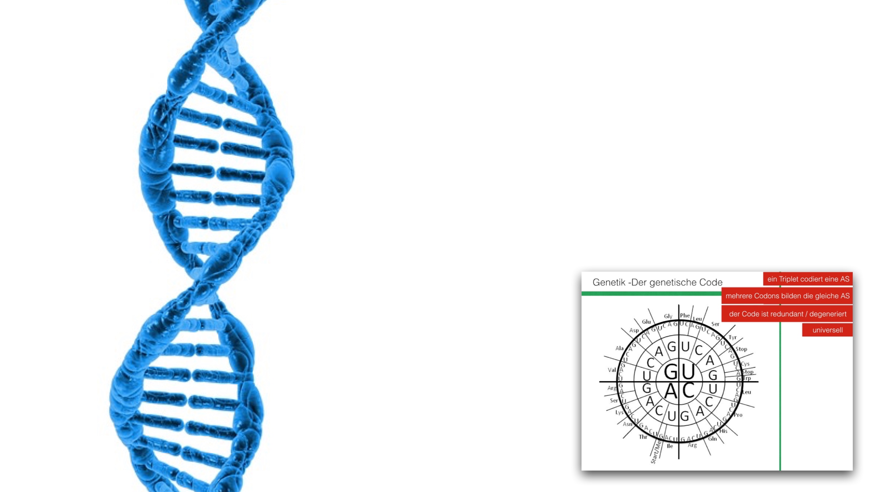 Die Code-Sonne - Clipdocs